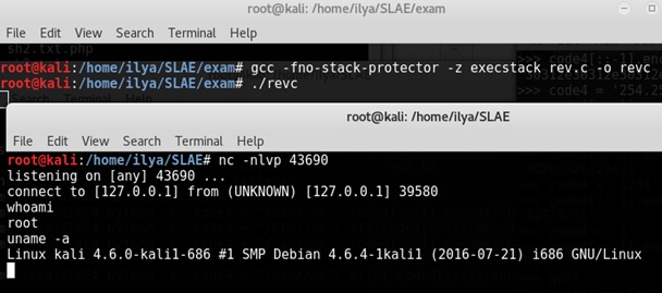 Linux X86 Shell Reverse Tcp Shellcode Deadbeef Blog
